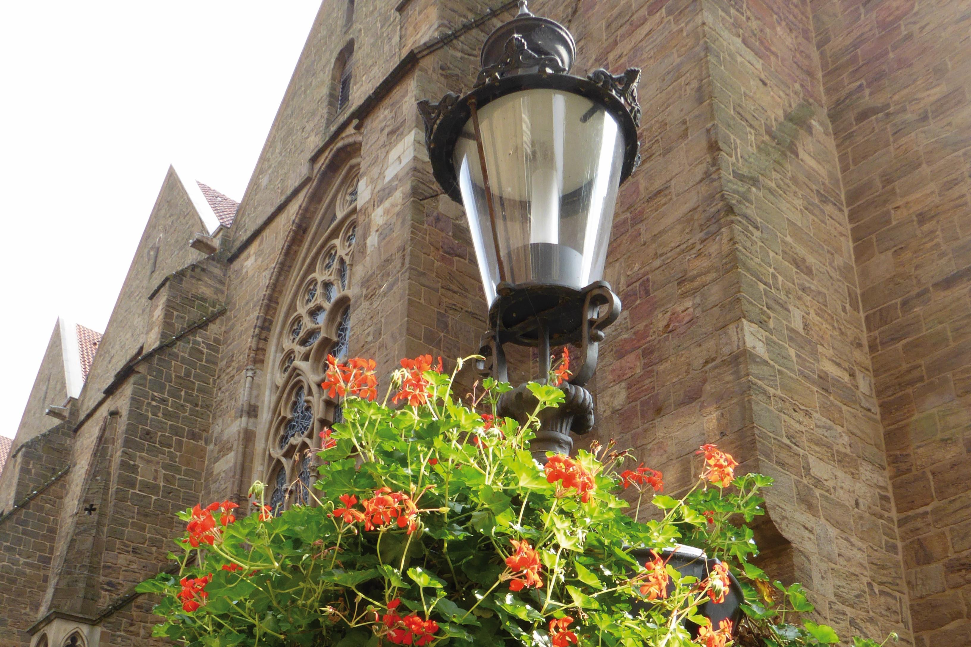 Pressemitteilung: Minden blüht auf 2025